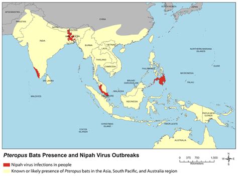 What You Need To Know About Nipah Virus Mirage News
