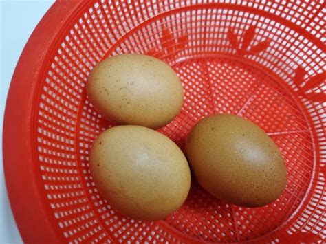 감동란 만드는법 계란 반숙 삶기 시간 삶은 달걀 요리 만들기 보관법 네이버 블로그