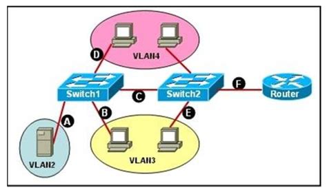 Refer To The Exhibit A Network Associate Needs To Configure The Switches And Router In The