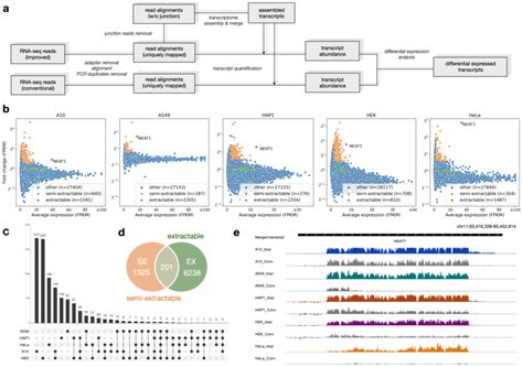 Identification Of Semi Extractable RNAs A RNA Seq Data Analysis Download Scientific Diagram