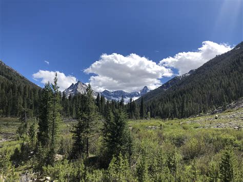 Search Results Bhcc Moodle