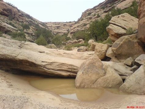 رحلة Dz الغيشة ، قلب السياحة النابض في ولاية الأغواط