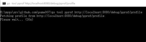 Golang 单元测试、性能测试、性能监控技术goland自动时序图 Csdn博客