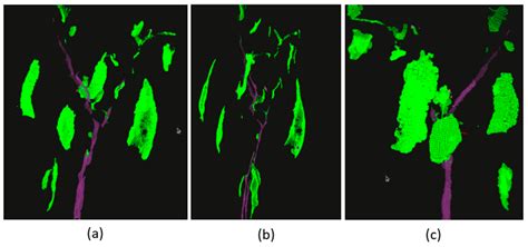 Agriengineering Free Full Text Sweet Pepper Leaf Area Estimation Using Semantic 3d Point