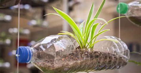 Reduce Reuse And Recycle Greenuso Blog