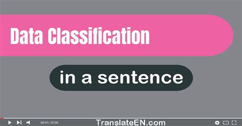Data Classification In A Sentence