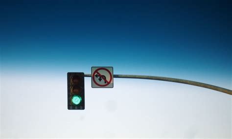 Sexual Differentiation Of The Human Brain In Relation To Gender Identity And Sexual Orientation