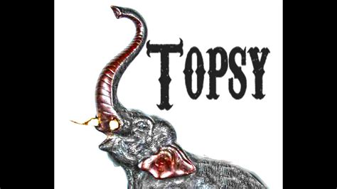 ¿cómo Matas A Un Elefante La Historia De Tusko Y Topsy Youtube