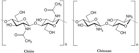 Selected Applications Of Chitosan Composites
