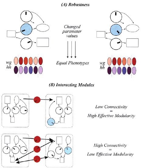 Schematic Figure Explaining A Robustness And B Effective Download Scientific Diagram