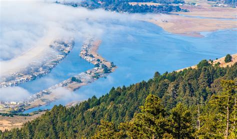 Bolinas Lagoon Seals And Birdwatching Stinson Beach Ca California Beaches