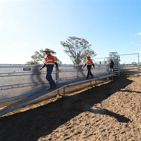 Elevated Walkways Proway Livestock Equipment Usa