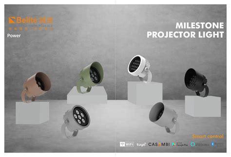 Iris Nie On Linkedin Projectorlight Outdoorlighting Lightsolutions