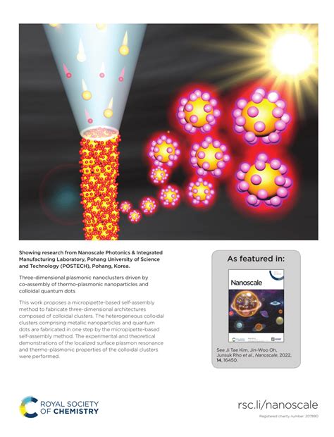 Pdf Three Dimensional Plasmonic Nanoclusters Driven By Co Assembly Of