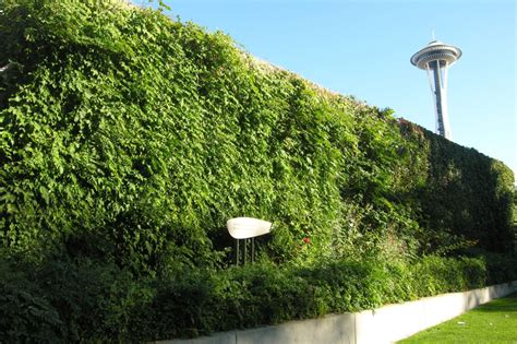 Defining Climate Responsive Architecture For 2024
