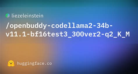 Liezeleinstein Openbuddy Codellama B V Bf Test Ver Q K M Hugging Face