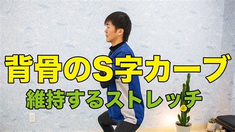 背骨のS字カーブを維持するストレッチ YouTube