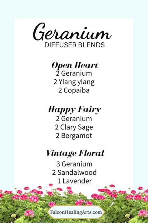 Essential Oil Diffuser Blends With Geranium Geranium Diffuser Blend Essential Oil Diffuser