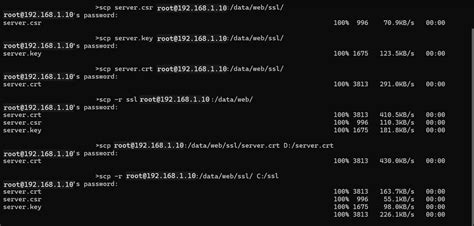 Windows 11系统使用scp上传文件到linux服务器 清风亦平凡