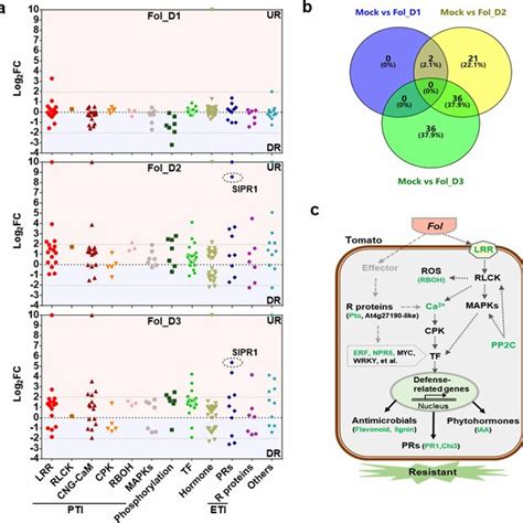 Expression Patterns Of The Significant Degs Involved In Plant Immune Download Scientific