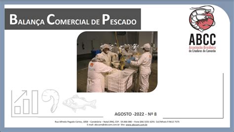 Balança Comercial De Pescado Da Abcc N° 8 Agosto De 2022 Abccam