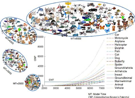 Figure 12 From Object Categorization At The Higher Levels Do With More Neurons Than Finer Levels