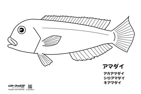 アマダイ さかなのぬりえ（魚の塗り絵）