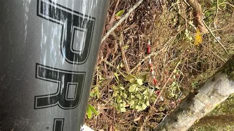 Mãe E Filha Que Morreram Em Queda De Helicóptero Em Sp Trocaram