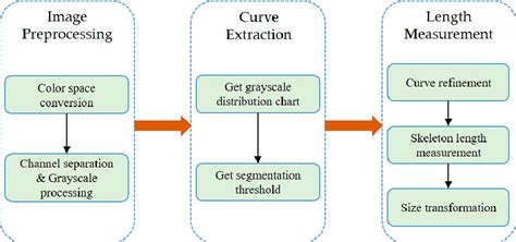 Figure 1 From Threshold Segmentation And Length Measurement Algorithms
