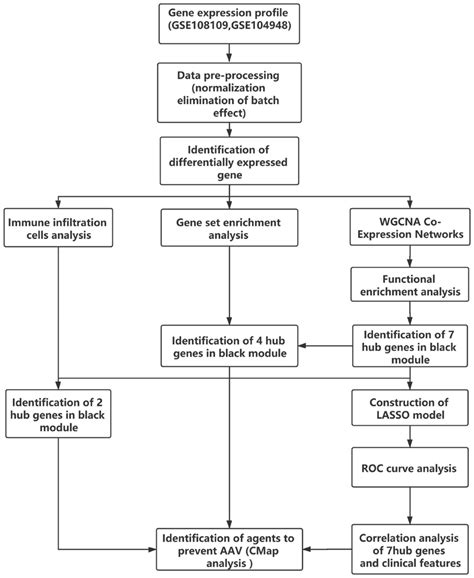 Workflows Of Our Bioinformatic Analysis Download Scientific Diagram