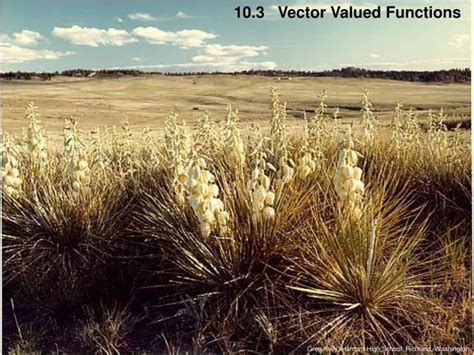 Ppt 103 Vector Valued Functions Powerpoint Presentation Free