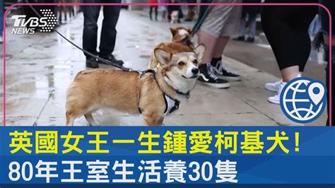 英國女王一生鍾愛柯基犬80年王室生活養30隻｜tvbs新聞 Youtube