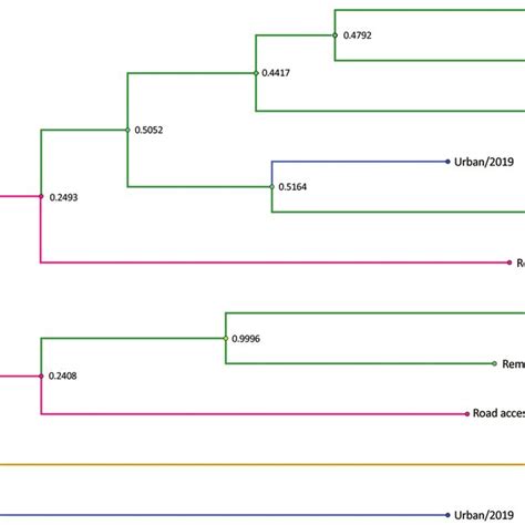 Subclade Tree Of Dengue Virus Serotype 1 From Rural Communities Of