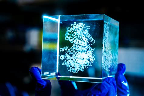 How The French Far Right Could Use Marine Le Pens Election Ban