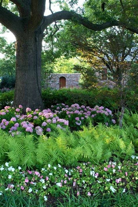24 Deep Shade Garden Plants Ideas To Consider Sharonsable