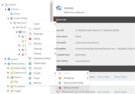 Sxa Extensions Multisite Management Alan Null Blog