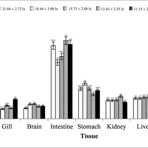 Activity Of Acp In Different Tissues And At Different Light