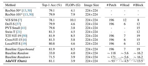 adavit adaptive vision transformers for efficient image recognition 知乎