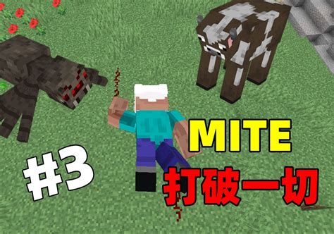 究极无敌难狗生存 当你开局只有「3滴血」 丨mite打破一切 第三期 马里奥红叔 马里奥红叔 哔哩哔哩视频