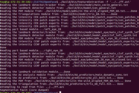 Segmentation Fault Error When Reading Video · Issue 647 · Tadasbaltrusaitisopenface · Github