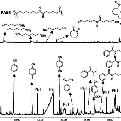 Pyrograms Obtained From Py GC MS Of Particles Of A PET B PA6 C