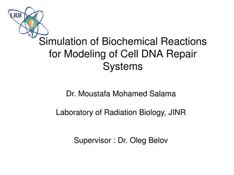 Ppt Simulation Of Biochemical Reactions For Modeling Of Cell Dna