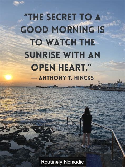 100 Sunshine Quotes To Brighten Your Day Routinely Nomadic