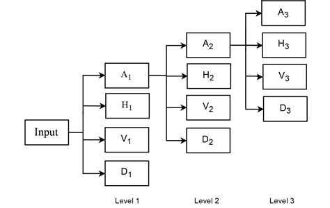 Multi Path Learnable Wavelet Neural Network For Image Classification Deepai