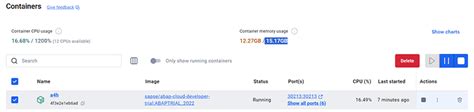 Docker On Windows 11 With WSL2 Does Not Use The Memory I Set In