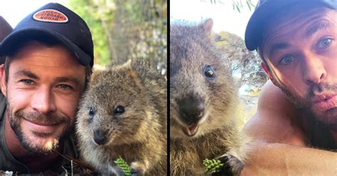Thirstiest Reactions To Chris Hemsworth And That Quokka