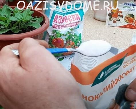 Монофосфат калия как развести и подкормить им рассаду пошагово с фото