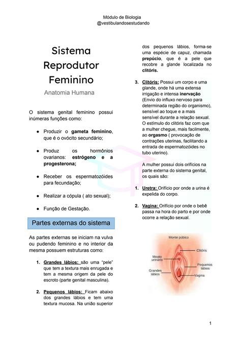 Solution M Dulo De Biologia Anatomia E Fisiologia Humana Sistema Reprodutor Feminino Studypool