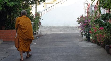 Buddhist Monk Sex Abuse Warnings Were Ignored Nl Times