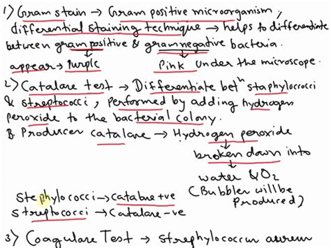 Tests To Identify Gram Negative Organism 1 List The Name Of